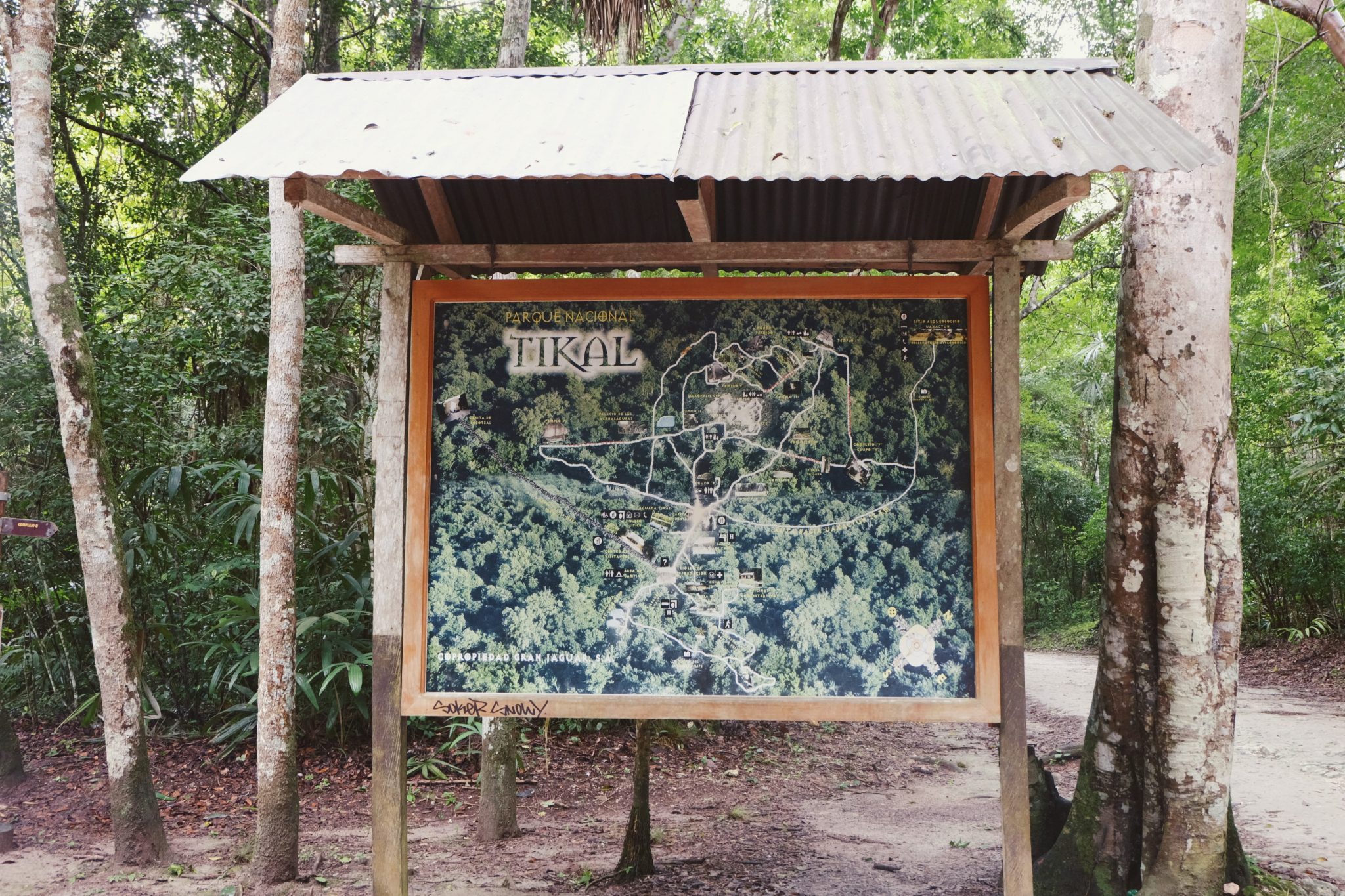 Temples, Tombs, and Tikal: Where History Meets the Rainforest - Days of ...